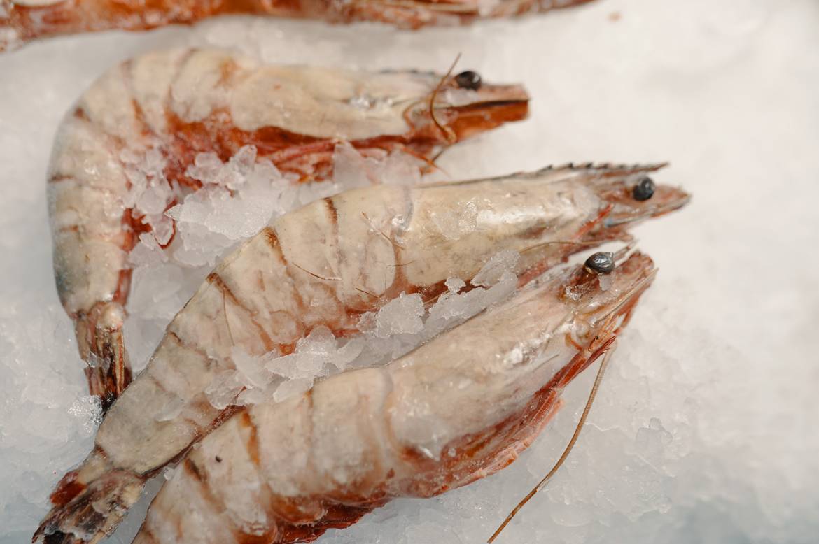 45 © dbsf 2017 – Dayanand Boholah Seafoods Co. Ltd.