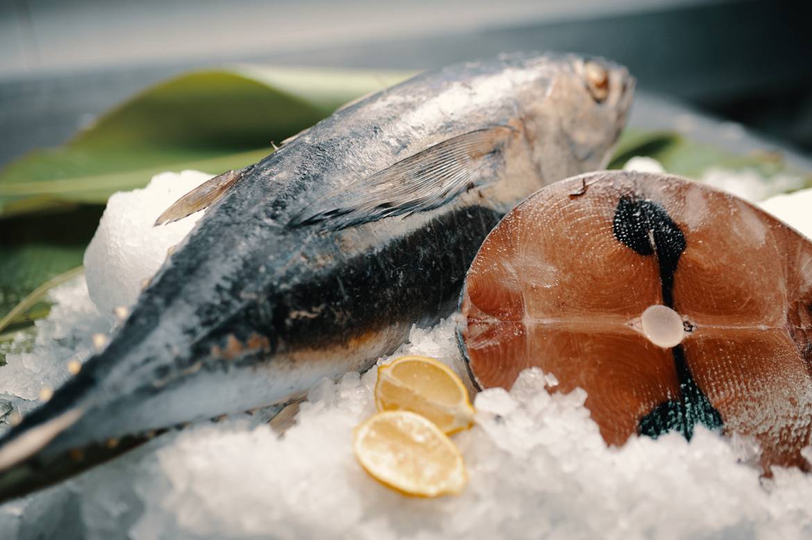 47 © dbsf 2017 – Dayanand Boholah Seafoods Co. Ltd.