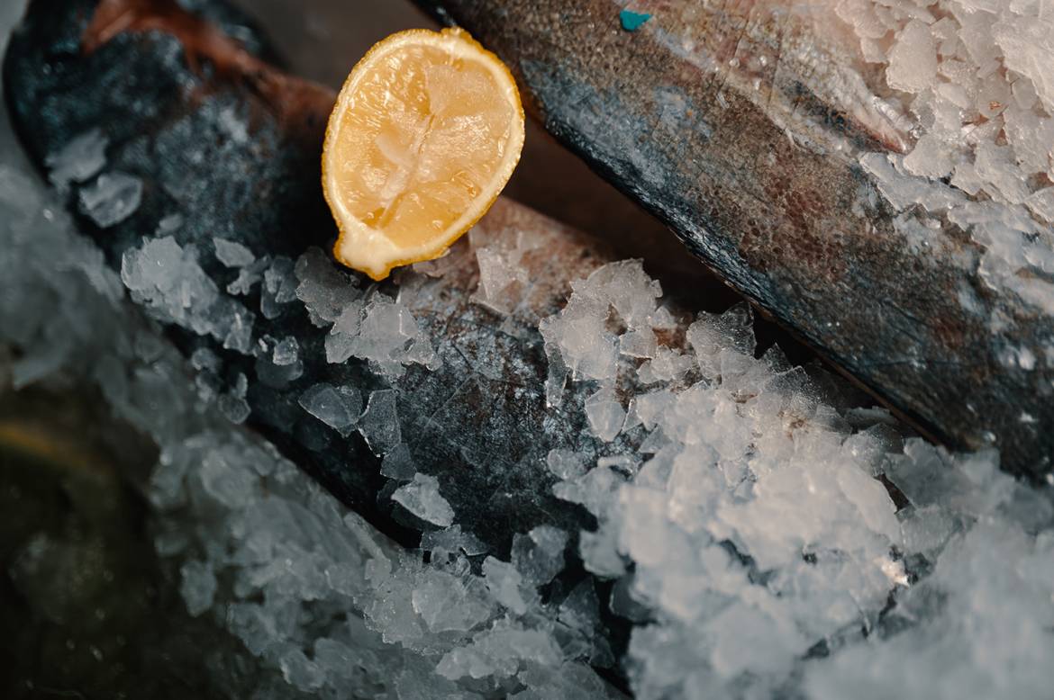 53 © dbsf 2017 – Dayanand Boholah Seafoods Co. Ltd.